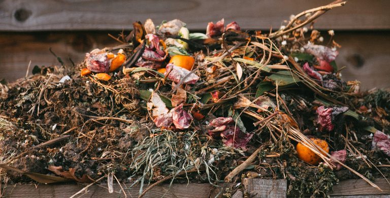 Educational Urban Farm: Community Garden, and Farmer Training